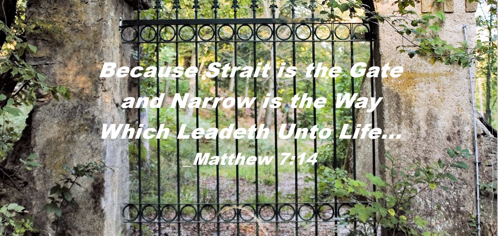 Narrow the Gate – Just another WordPress site